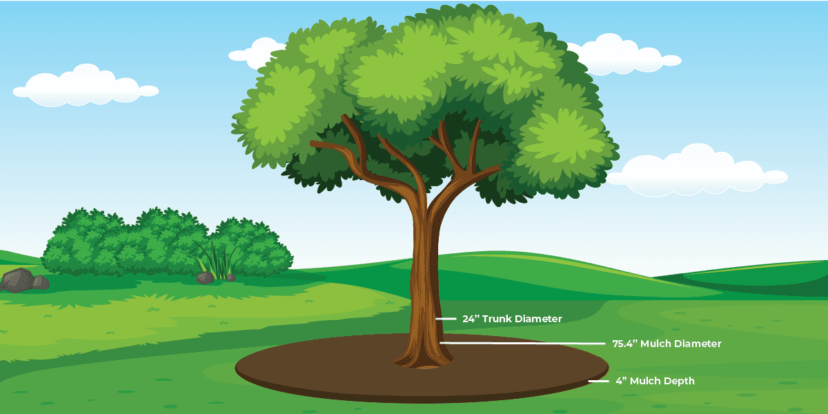 Hentges Tree Service in Jefferson City, Missouri | Residential and ...