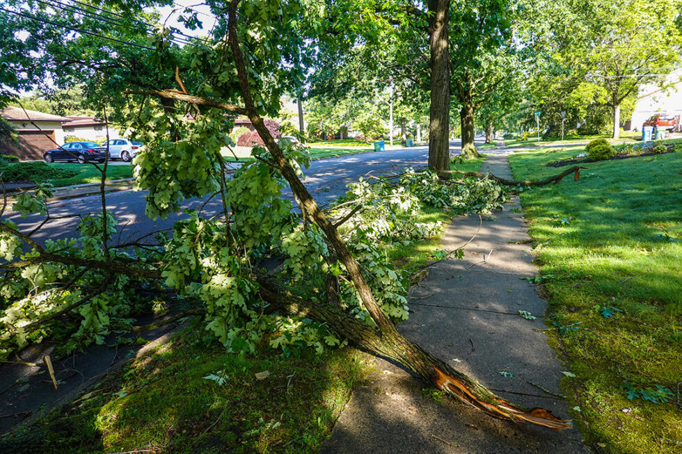 Storm Management Services - Hentges Tree Service